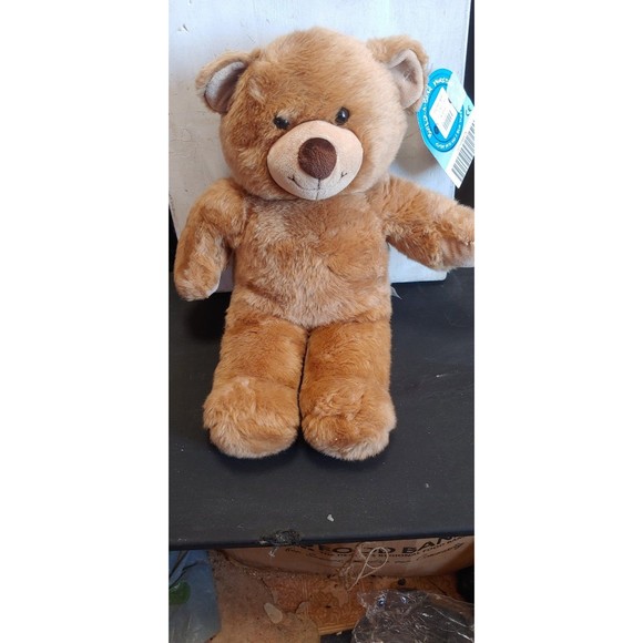 Toys | Build A Bear Lil Honey Cub Bear Build A Bear Workshop 15 Inch ...